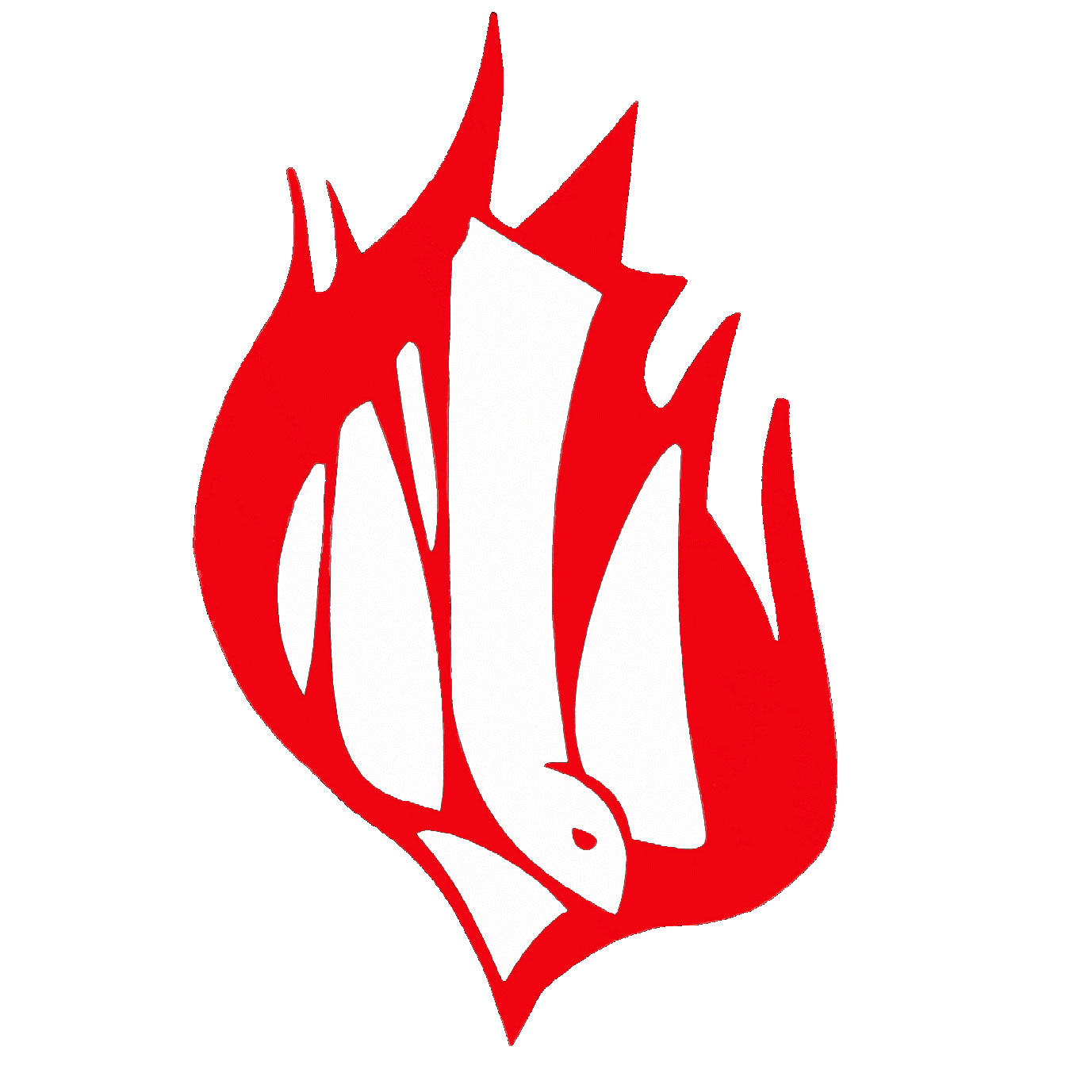 La congrégation en bref - Jeunes spiritains - Province de France